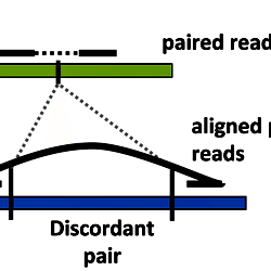 Paired end mapping (PEM).