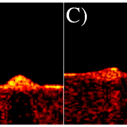 A single slice of an OCT scan for different scan media.