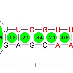 Illustration of the method for calculating the free energy profile of ...