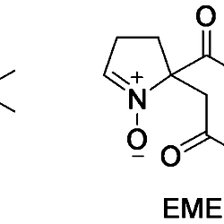 Structure of DMPO and EMEPO.