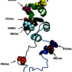 The distribution of intramolecular coevolution amino acid residues ...