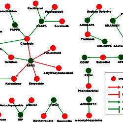 Hub gene-drug interaction network.