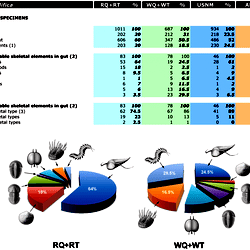 Count data and composition of the gut contents of Ottoia prolifica ...