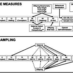 Timelines and overall study design.