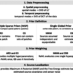 The four common stages for the algorithm comparison.