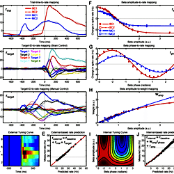 External and internal tuning curves.