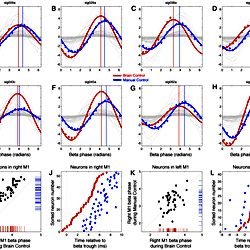 Beta phase-to-rate mapping.