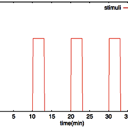Example of external stimuli.