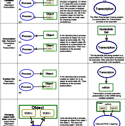 OPM procedural links: links connecting an object or state with a process.