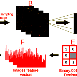 Representing expression images using LBP features.