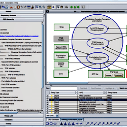 An example of OPM query capability: mRNA search.