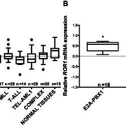 ROR1 mRNA expression in pediatric ALL.