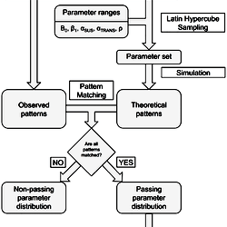 Flow chart of Pattern Oriented Modelling approach.