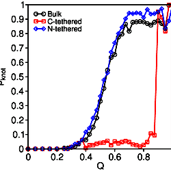The probability to have the knot formed, pknot, as a function of the ...