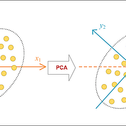 Schematic diagram of PCA principle.