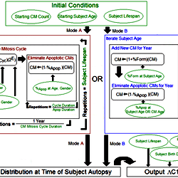 Hybrid Model Automaton Algorithm.
