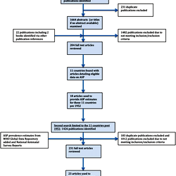 Flow chart showing selection of publications from the literature search ...