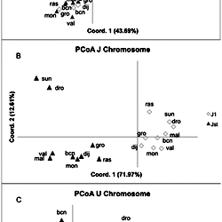 Principal Coordinate Analysis (PCoA) based on pairwise FST values for all loci combined from ...