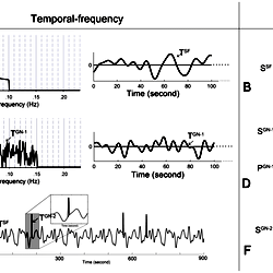 The simulated dataset.