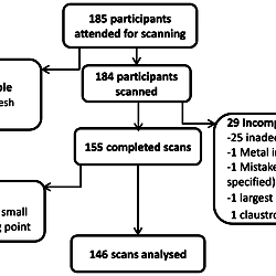Flow chart of participants of MRI calibration study and reasons for ...