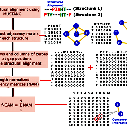 Detailed outline describing the creation of the normalized adjacency ...