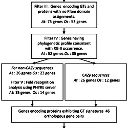 Flow chart of the 7-step filtering strategy used to select putative RG ...