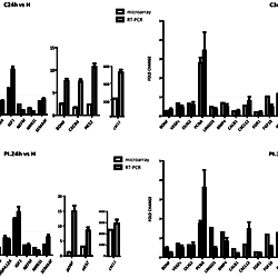 Validation of data from microarray analysis.