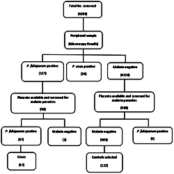 Schematic flow chart summarizing the sampling process.