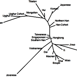 Phylogenetic tree constructed by the neighbor-joining method based on ...