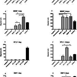 Migrated MASC (Mean and SEM) under different conditions (y axis).