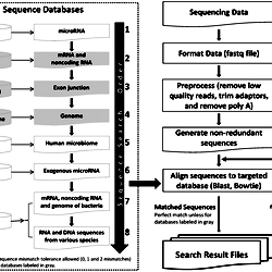 The schema of the sequence mapping protocol.