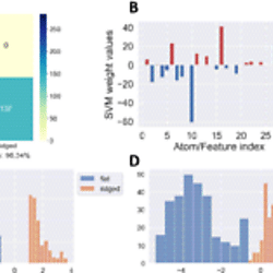 SVM classification of feature vectors obtained by dictionary learning.