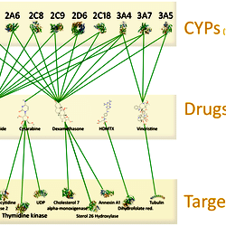 CYP interactions and targets of treatment regimen before optimization.
