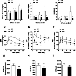 MR mice on HFD have improved glucose homeostasis.