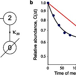 Markov chain representation of a Markov process and 2-state model fit ...