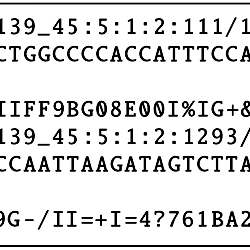 FASTQ file format example.