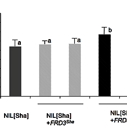 Functional complementation.