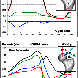 HIGH100 loads during one gait cycle of walking.