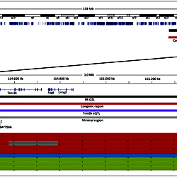 Overview of the locations of the linkage regions on chromosome 3.