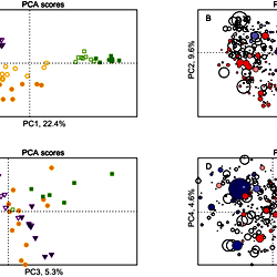 Scatter plots of scores and loadings from PCA on total microbiota.