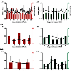 Variation in average relative phase across sequential bilateral RLMs.