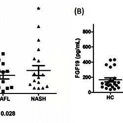 Serum C4 and FGF19 levels in HC, NAFL and NASH groups.