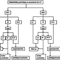 Diagnostic flow chart.