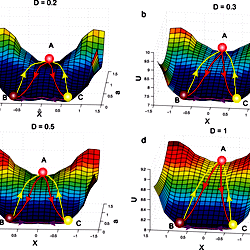 The developmental landscape and dominant paths under different noises.