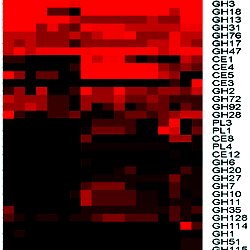 Heat map of CAZY families in the Dothideomycetes.