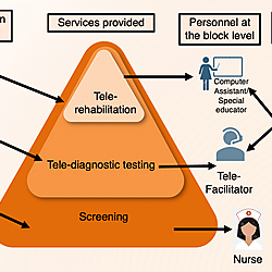 Comprehensive Tele-practice model.