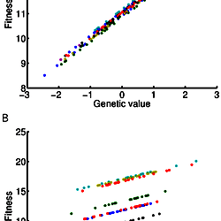 Inter and intragroup variance in fitness.