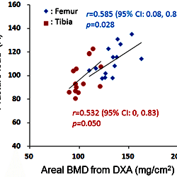 Correlation between fracture load (measured using a three-point bending ...