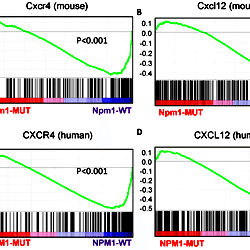 Enrichment plots from gene set enrichment analysis (GSEA).