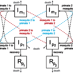 Diagram of SIR model.